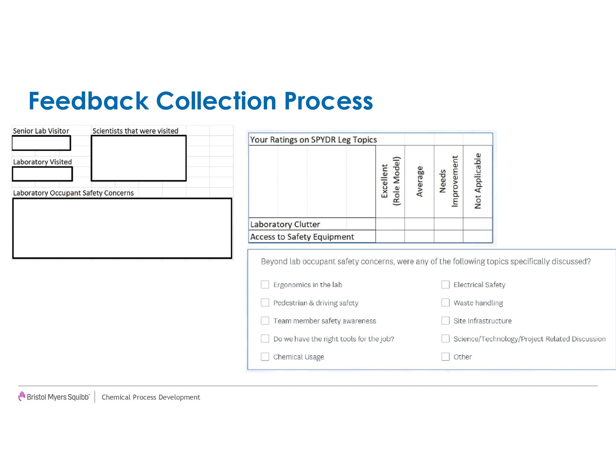 10 Feedback template – ACS Chemical Health and Safety Division